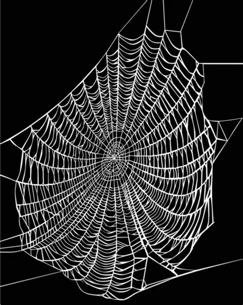 5619763 Web Vector Illustration Vector Images Depositphotos