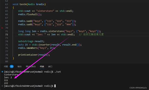 使用c 操作redis客户端 c redis csdn博客