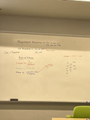 Biol 1107 Exam 2 Abbott Flashcards Quizlet