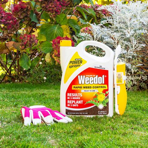 Iron Weed Control At Elaine Sanchez Blog