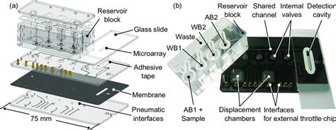 14 Microfluidic System Developed For Immunoassay Experiments A Cad Download Scientific