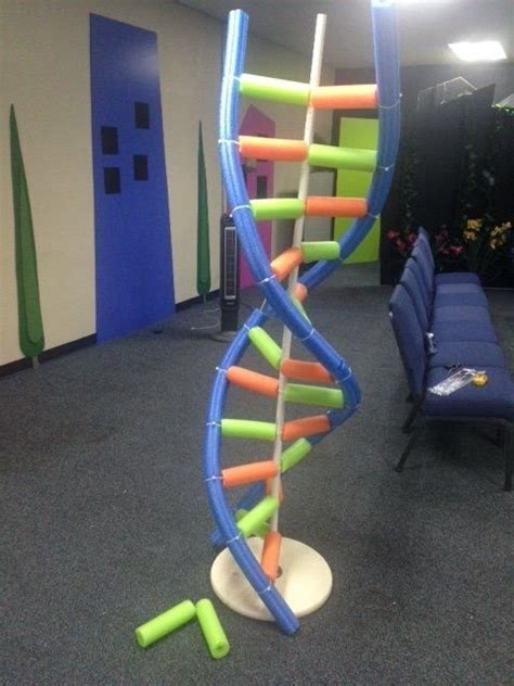 Dna Model Project For Education