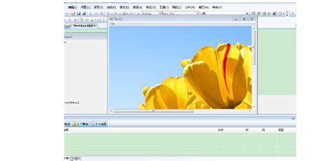 C结合emgucv编程word文档在线阅读与下载无忧文档