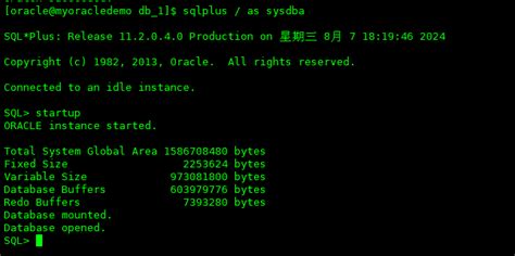 Oracle 11g单机psu手动打补丁教程oracle11g补丁 Csdn博客