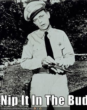 Nip Something In The Bud EVIL ENGLISH