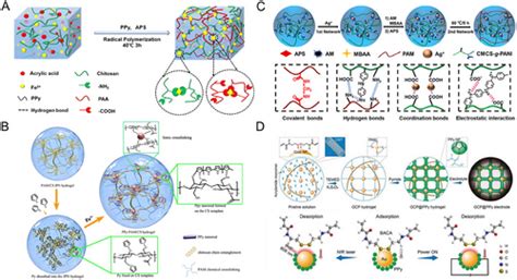 Conducting Polymer Hydrogels Based On Supramolecular Strategies For Wearable Sensors Sun