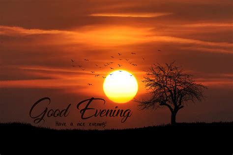 An Incredible Compilation Of Full 4k Good Evening Images A Vast Collection Of Top 999