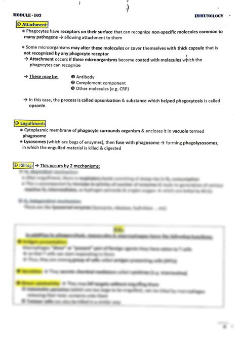 Solution Microbiology Immunology Overview Immune Innate Antigens T Cell Mediated Cytokines