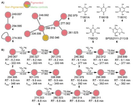 A Molecular Network Representation Of Molecular Clusters Containing Download Scientific