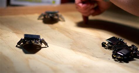 The Evolving Robot Cockroach Will Outlive Us All