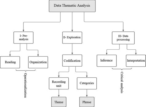 Qualitative Data Analysis Organizational Chart Source Prepared By The Download Scientific