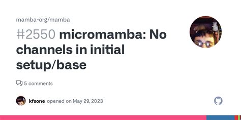 Micromamba No Channels In Initial Setup Base Issue Mamba Org Mamba GitHub