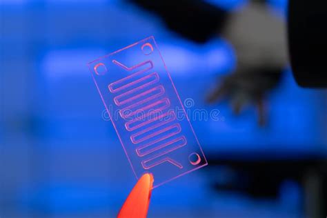 Lab On A Chip Microfluidics Device Stock Image Image Of Biotechnology Deoxyribonucleic 212049451