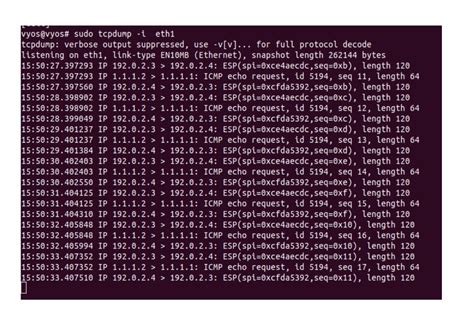 Pki And Ipsec Ikev2 Remote Access Vpn General Questions Vyos Forums