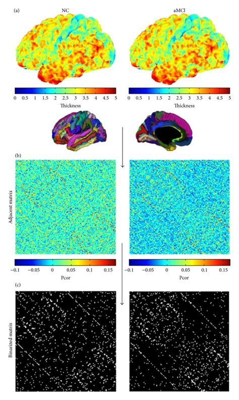 Flowchart For The Construction Of Structural Cortical Networks A Two
