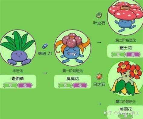 到底什么是前端、后端、后台啊？ 知乎