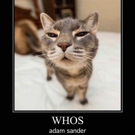 50 Funny Memes From This Month On Ebaums Instagram Funny Gallery Ebaums World