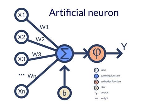 The Hidden Magic Behind Neural Networks A Deep Dive Into Activation