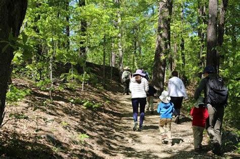 Momo Shop Алхаж эхлэх гээд хаачихаа мэдэхгүй байна уу ☺️ Чингисийн өргөө амралтын газарт