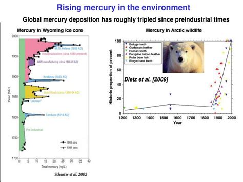 Mercury Global