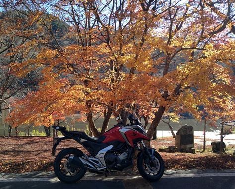 おちぴーさんの投稿したツーリング情報 身近な紅葉が綺麗になりましたね 今 バイクのカスタム ツーリング情報ならモトクル Motocle