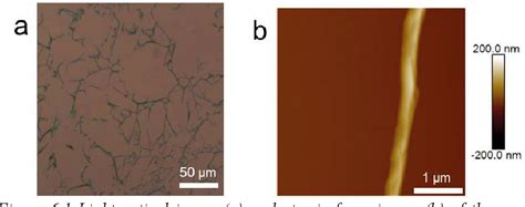 Figure 1 1 From Covalent Graphene Functionalization For The Modification Of Its Physical