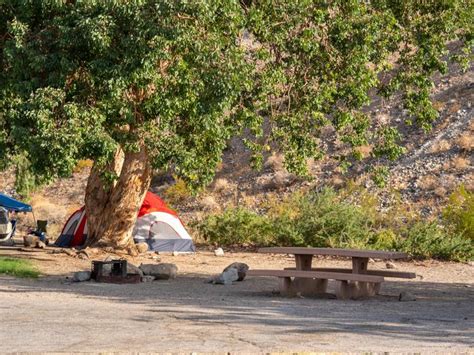 Cottonwood Cove Campground Lake Mohave Nv Camping
