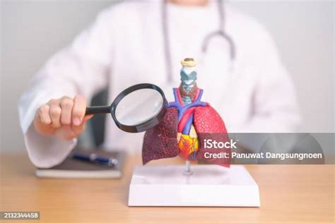 돋보기가 있는 흡연자 폐 해부학을 가진 의사 폐암 천식 만성 폐쇄성 폐 또는 Copd 기관지염 폐기종 낭포성 섬유증 기관지 확장증 폐렴 및 세계 폐의 날 0명에 대한 스톡