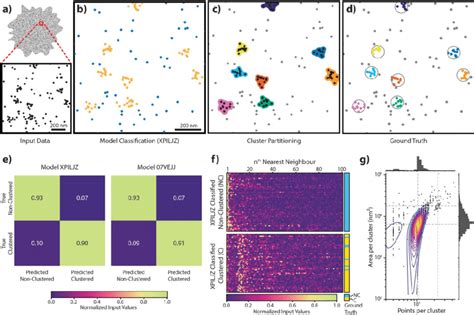 Validation Of Two Models Using Simulated Data A Input Data Are The Download Scientific