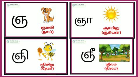 ஞ வரிசை சொற்கள் Gna Varisai Sorkal In Tamil Gna Varisai Sorkkal Youtube