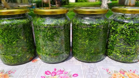 🌿☘️ ️Не сушу и не замораживаю 💯 Заготовка кинзы и петрушки на зиму🌿 Youtube