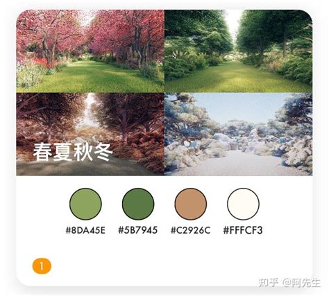 二四季色彩四季色彩大季型春 夏 秋 冬和人体基因特征基础知识 知乎
