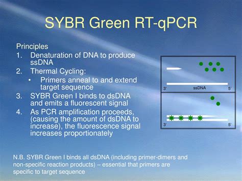 PPT Development Of SYBR Green RT QPCR To Confirm Small SNP Array Aberrations PowerPoint