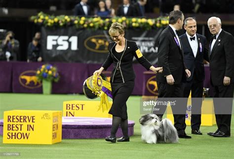 Taffe Mcfadden Celebrates With Bono The Havanese After Winning Havanese Bono Havanese For