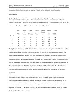 Nephron Bead Exercise Instructions For Students And Instructors