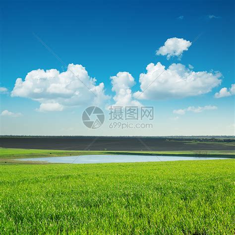 蓝色天空下有池塘的绿绿色漫游高清图片下载 正版图片321907635 摄图网
