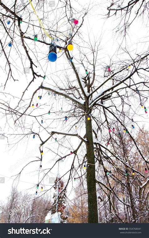 Naked Winter Foliage Tree Decorated Vintage Stock Photo Shutterstock