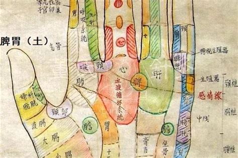 五官对应五脏分布图