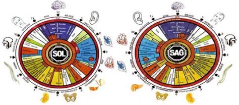 Pdf Detection Of Heart Abnormalities And High Level Cholesterol