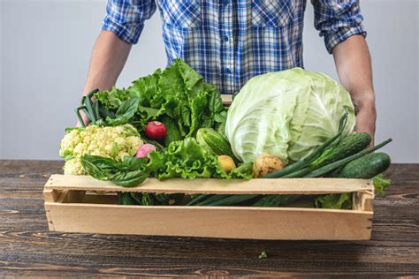 여자는 신선한 건강 야채의 상자를 들고있다 당신의 정원에서 작물을 성장의 개념 꽃 양배추에 대한 스톡 사진 및 기타 이미지 꽃 양배추 나무 상자 농부 Istock