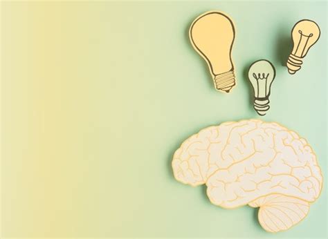 Top 10 Tips On Oxford Human Sciences Personal Statement Writing