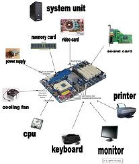 The Parts Of A Computer That Are Labeled In This Diagram Including