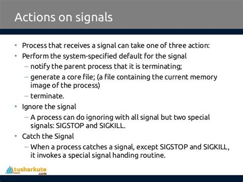 Signal Handling In Linux