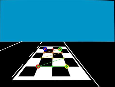 Image Processing Generating A Birds Eye Top View With Opencv