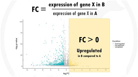 How To Interpret A Volcano Plot