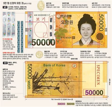 어몽룡 매화도 오만원권 지폐 도안 돈 초등학교 미술 그래픽