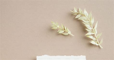 우아한 웨딩 문구 모형 장면 빈 인사말 카드 왁스 인감 스탬프가 있는 녹색 봉투 파스텔 베이지색 배경에 말린 꽃 플랫 레이 평면도 수직 사진 Unsplash