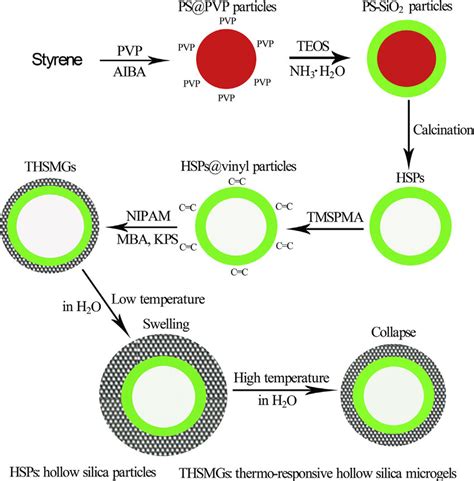 Scheme 1 Schematic Diagram Illustrating The Formation Of Thsmgs And Download Scientific