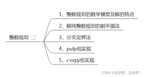 整数规划（pythonpython Pulp 整数规划 Csdn博客