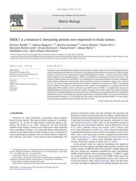 Pdf Smoc1 Is A Tenascin C Interacting Protein Over Expressed In Brain Tumors